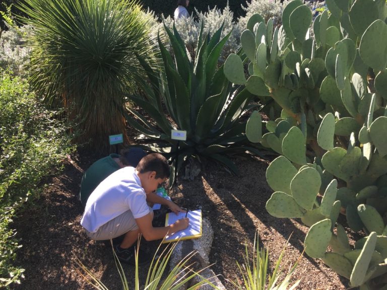 Texas Native Plants Abound - Dallas Arboretum and Botanical Garden Blog