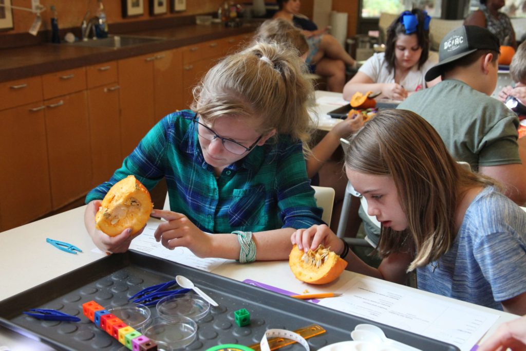 The Science of Pumpkins